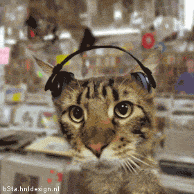Go DJ Kitty Go: 30 Ridiculously Animated Cat Gifs and Stuff - Magnetic ...