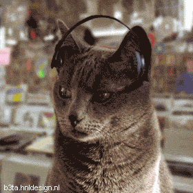 Go DJ Kitty Go: 30 Ridiculously Animated Cat Gifs and Stuff - Magnetic ...