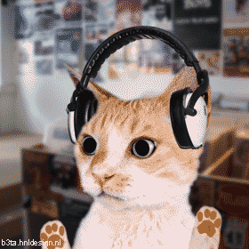 Go DJ Kitty Go: 30 Ridiculously Animated Cat Gifs and Stuff - Magnetic ...
