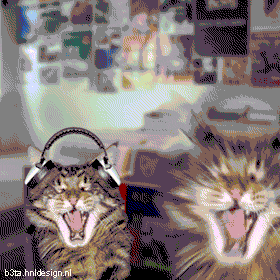 Go DJ Kitty Go: 30 Ridiculously Animated Cat Gifs and Stuff - Magnetic ...