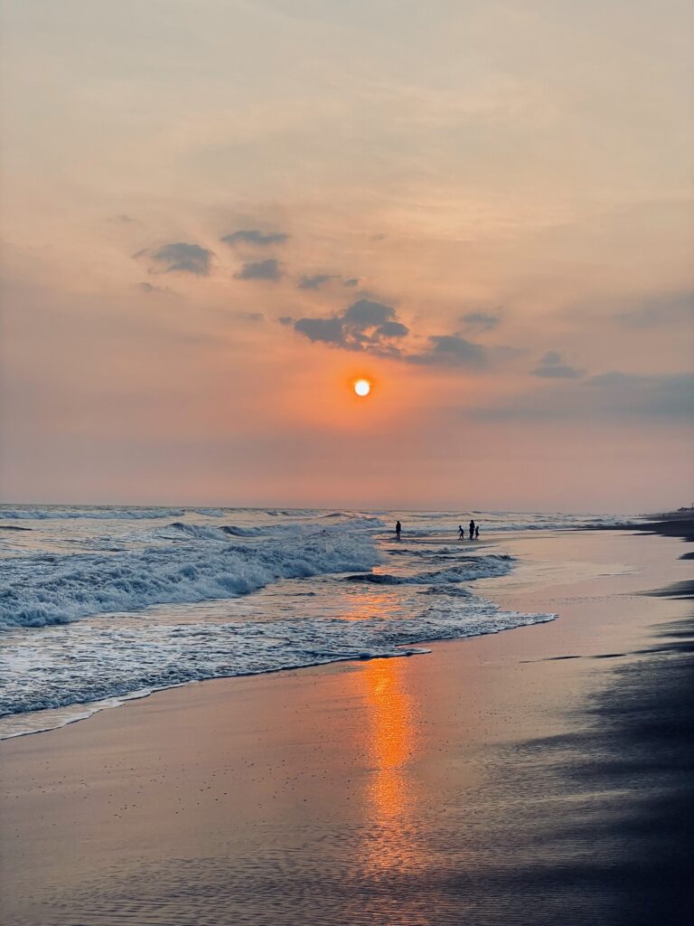 12 dub tracks to kick off Spring 2024