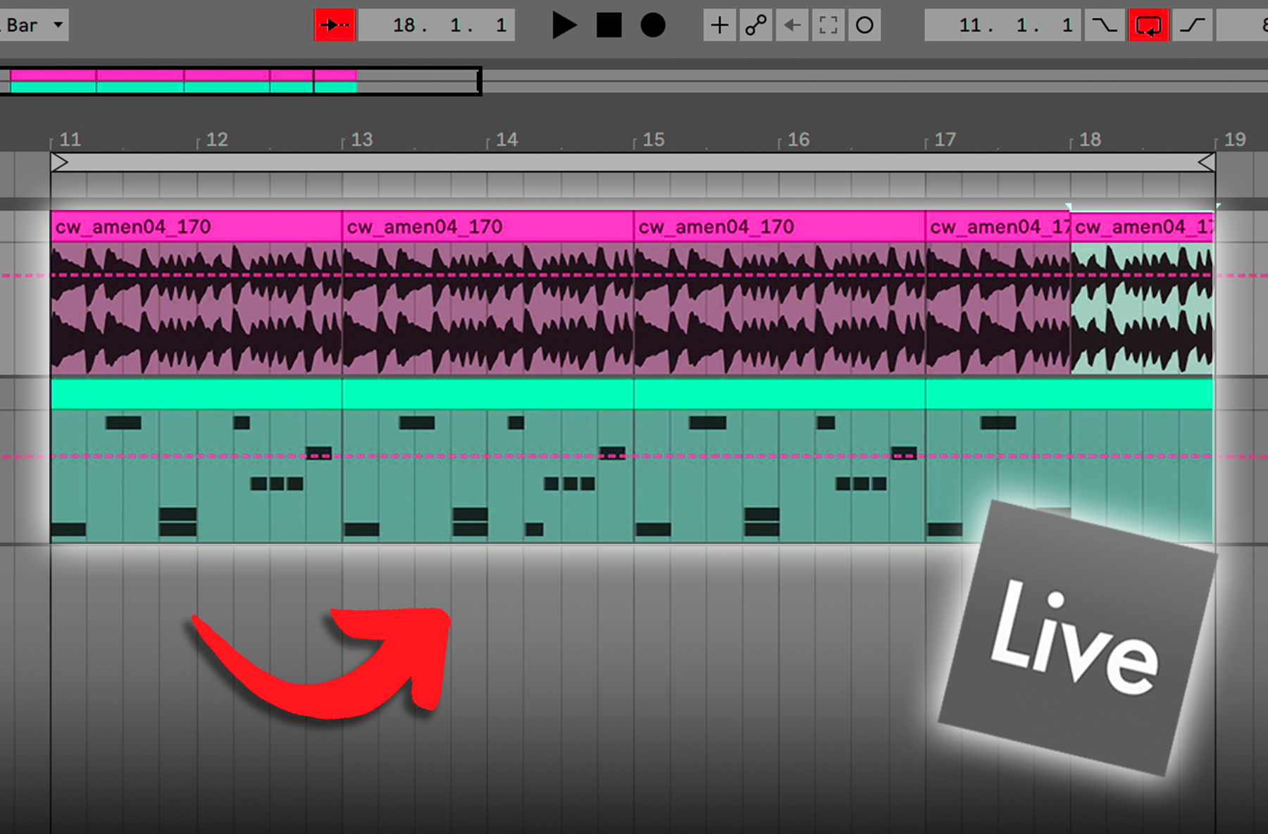 Spotlight: Point Blank Tutorial - How to Create Interesting Drum Fills with Resampling in ...