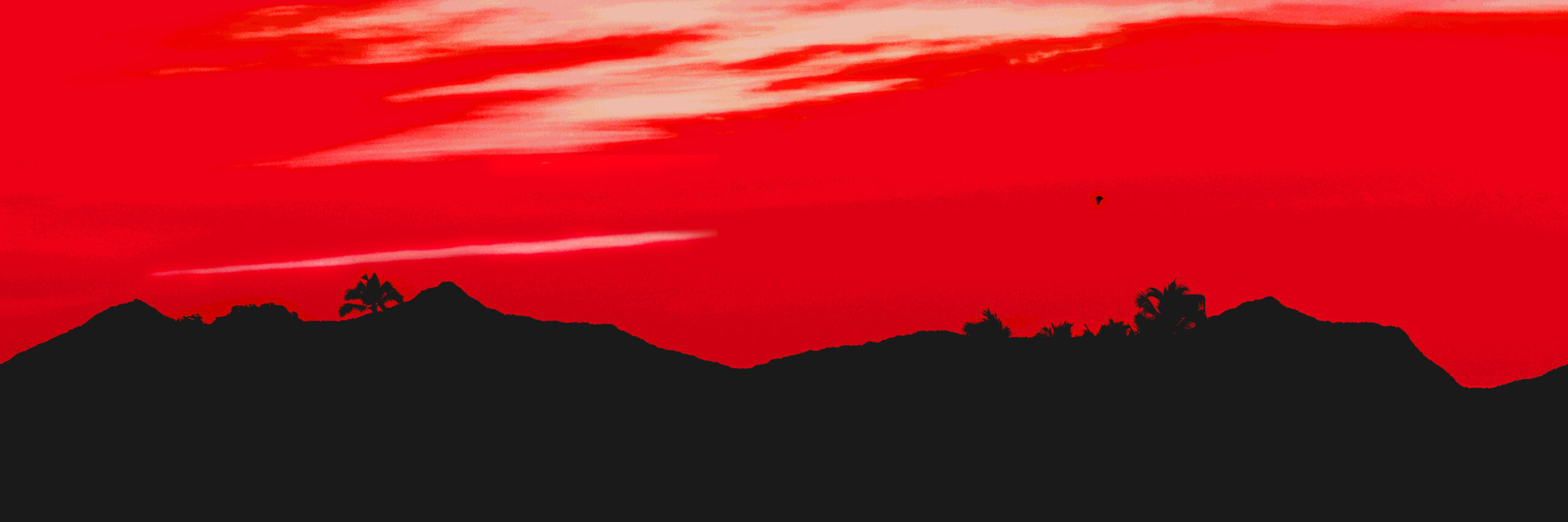 15 Best Synth Tracks of September 2020