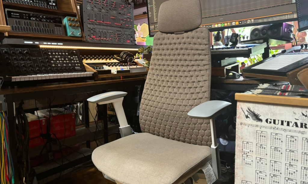 Fern Office Chair Review: One Premium Chair For Your Music Studio ...