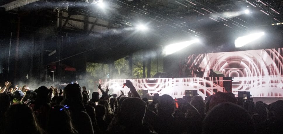 Top 15 Free Jungle Sample Packs You Can Download Now - Magnetic Magazine