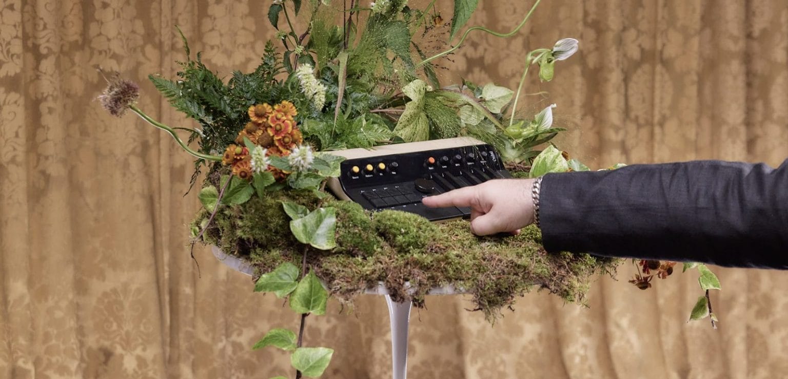 Telepathic Instruments Launches Orchid Worldwide After Instant Sellouts ...